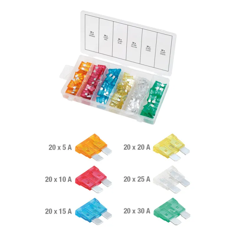 Assortiment de fusibles KS TOOLS 970.0250